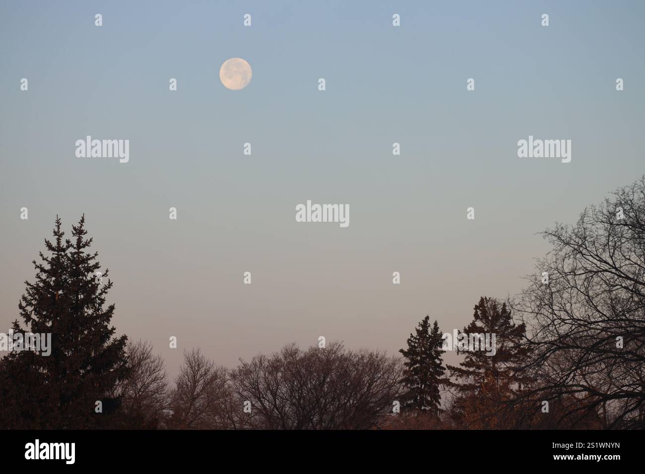 Moon in evening sky above hi-res stock photography and images - Alamy