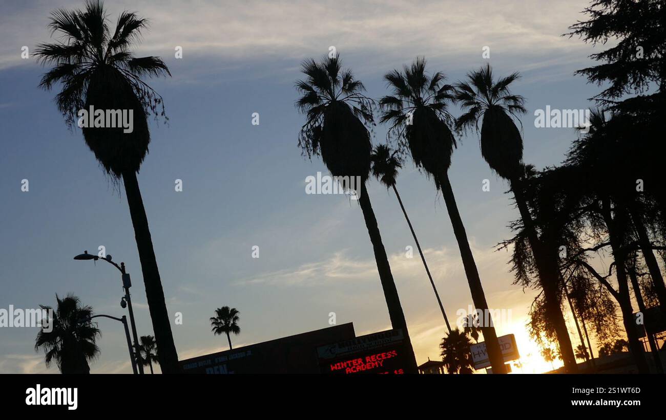 Los Angeles, California, USA 2nd January 2025 Palm Trees and Sunset on ...