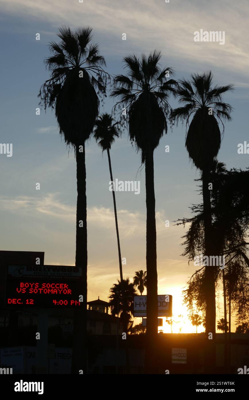 Los Angeles, California, USA 2nd January 2025 Palm Trees and Sunset on ...
