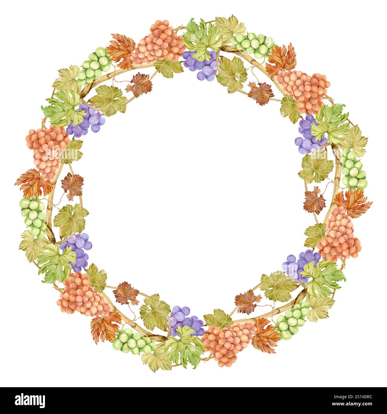 Watercolor grapevine wreath with blue and green berries. Round frame of ...