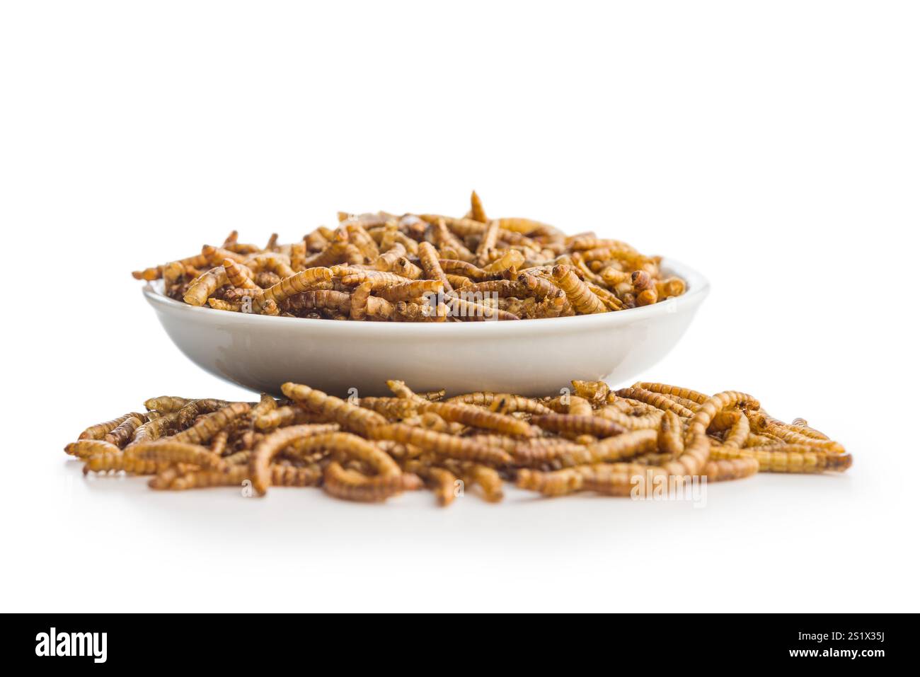 Dried salted worms. Roasted mealworms in bowl isolated on a white ...