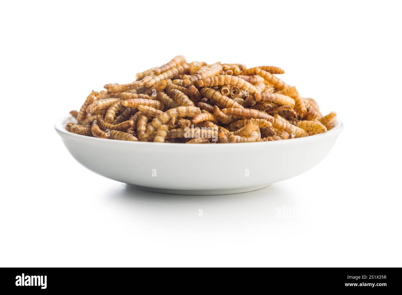 Dried salted worms. Roasted mealworms in bowl isolated on a white ...