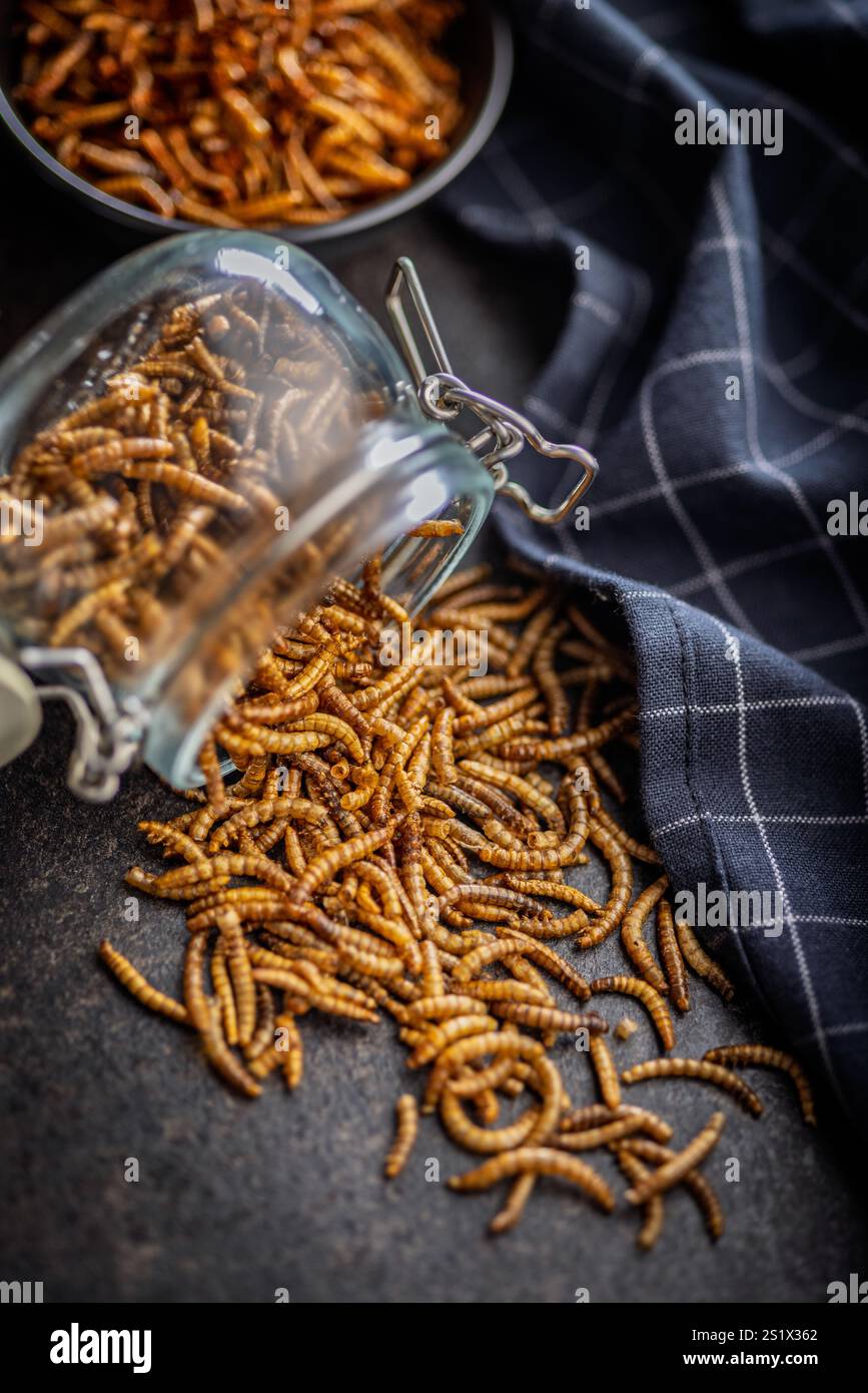Dried salted worms. Roasted mealworms in jar on a black table Stock ...