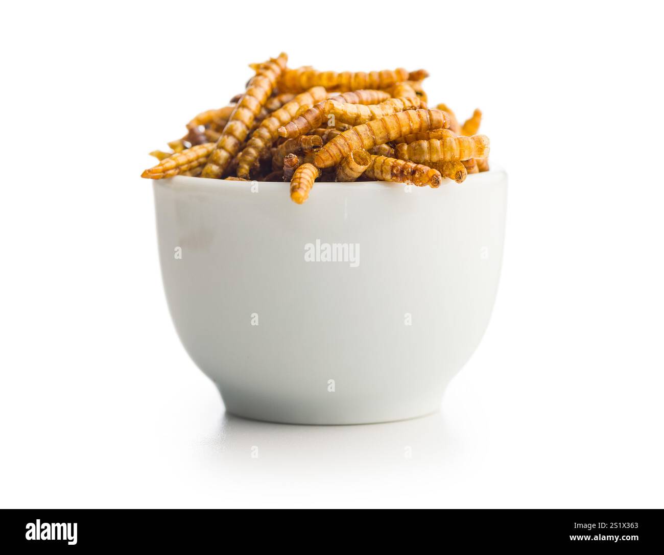 Dried salted worms. Roasted mealworms in bowl isolated on a white ...