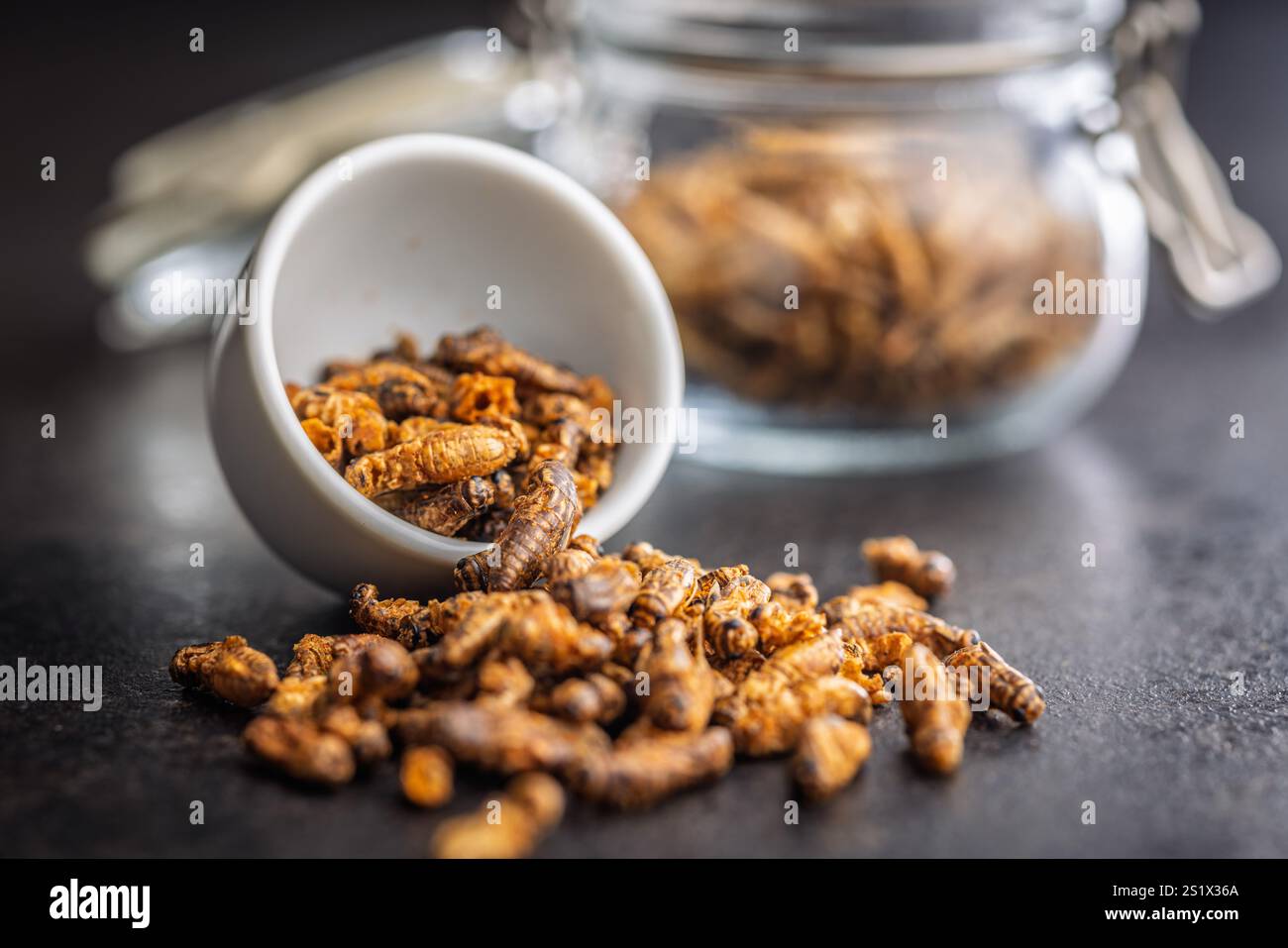 Dried salted insect. Roasted crickets on a black table Stock Photo - Alamy