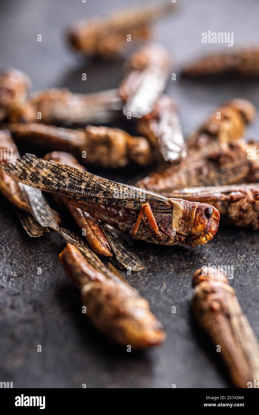 Dried salted insect. Rosted grasshoppers on a black table Stock Photo ...