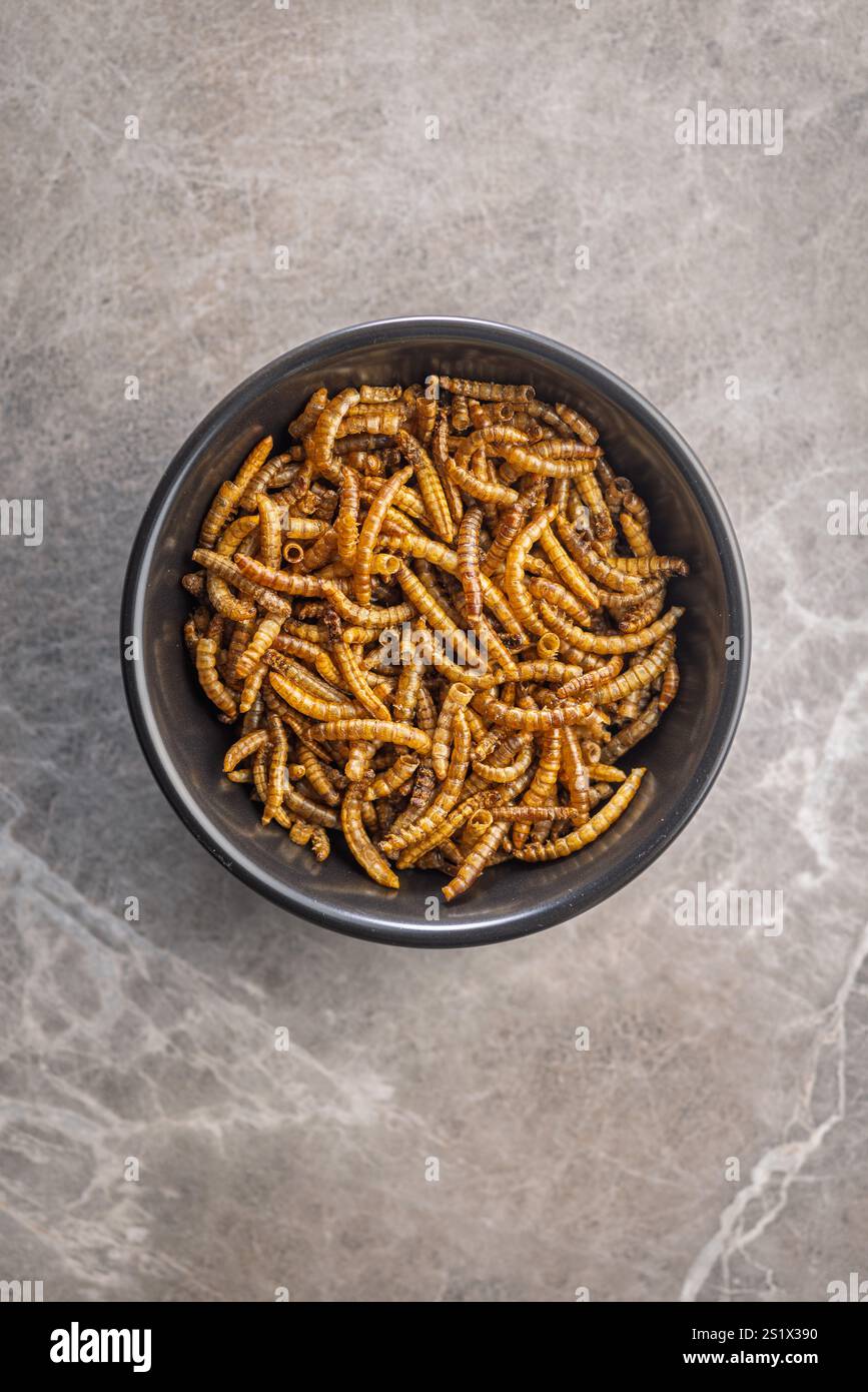 Dried salted worms. Roasted mealworms in bowl on a kitchen table Stock ...
