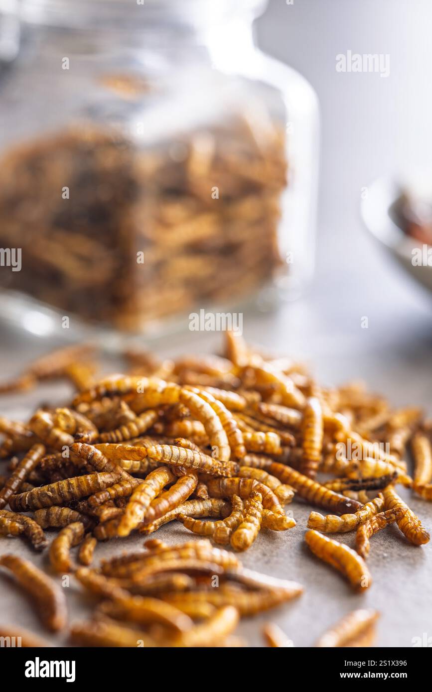 Dried salted worms. Roasted mealworms on a kitchen table Stock Photo ...
