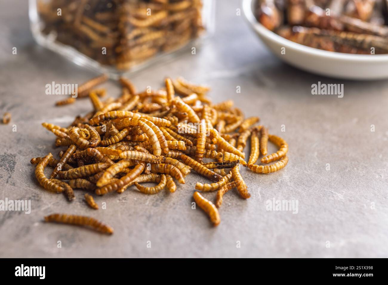 Dried salted worms. Roasted mealworms on a kitchen table Stock Photo ...