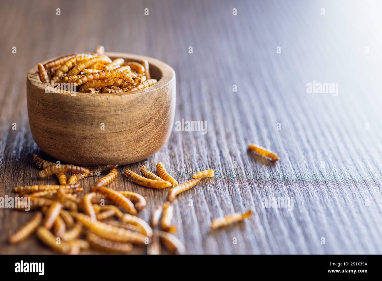 Dried salted worms. Roasted mealworms in bowl on a wooden table Stock ...