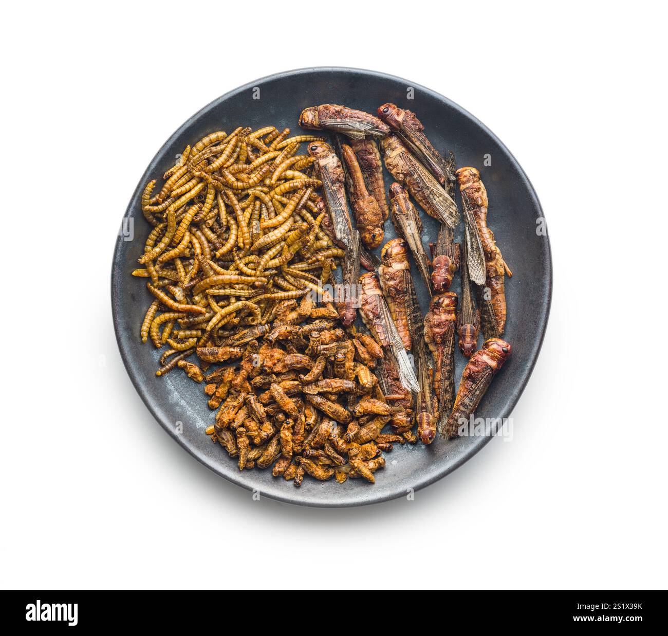 Closeup fried crickets on Cut Out Stock Images & Pictures - Alamy