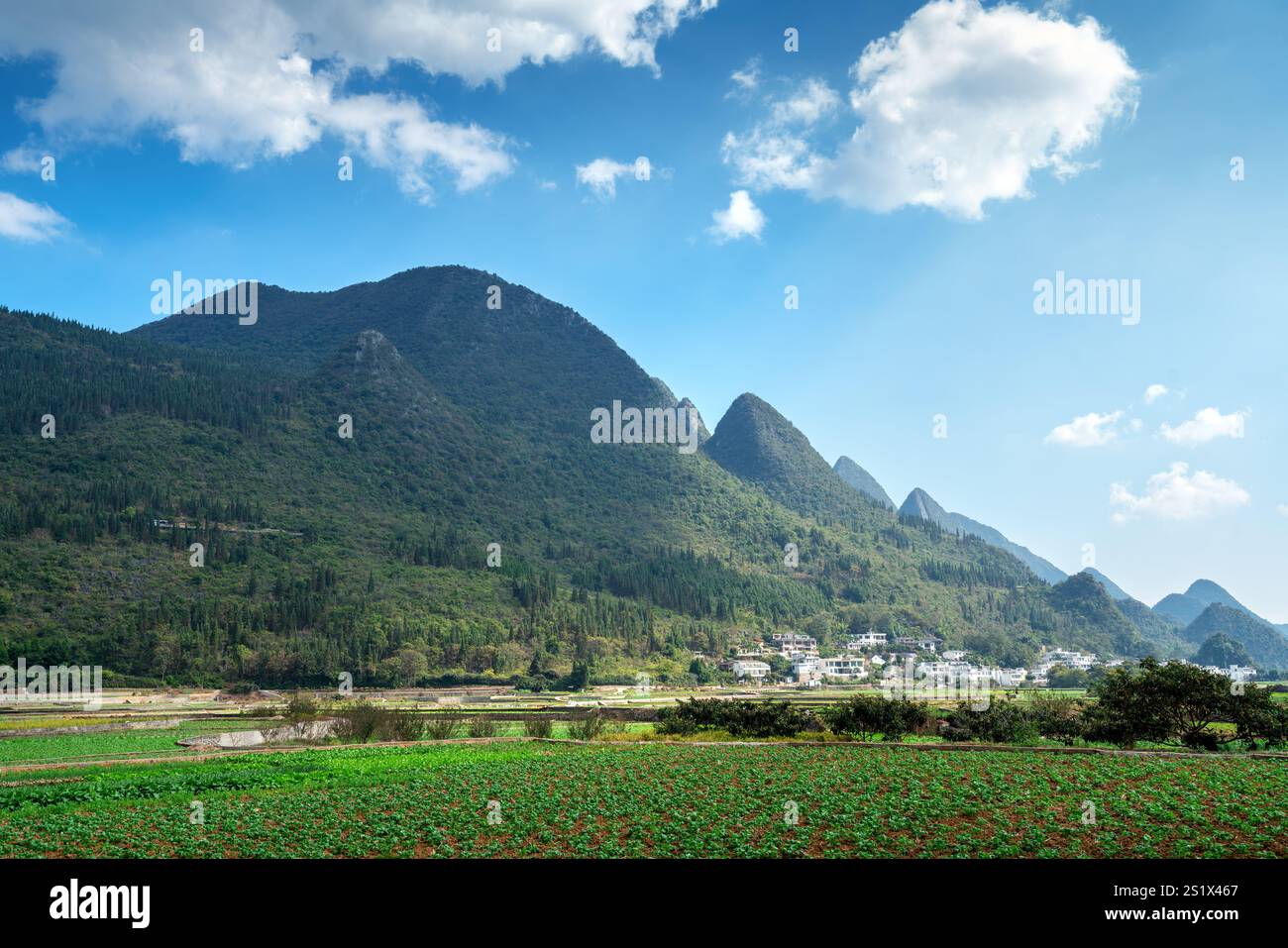Wanfenglin (Forest of Ten Thousand Peaks), Guizhou, China Stock Photo ...
