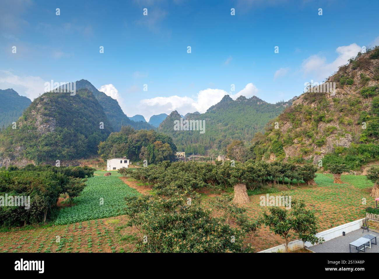 Wanfenglin (Forest of Ten Thousand Peaks), Guizhou, China Stock Photo ...