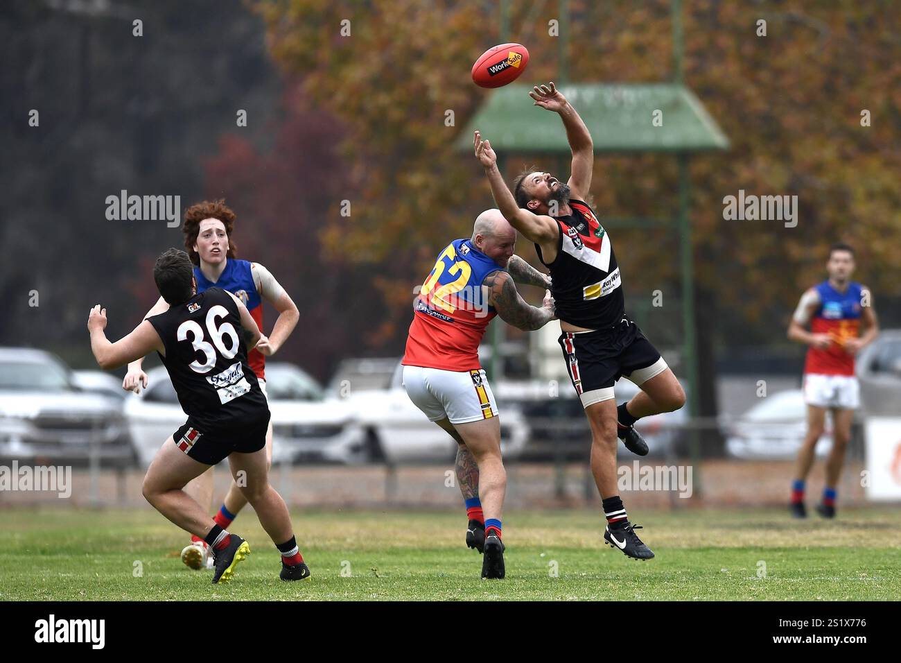 BENALLA, AUSTRALIA 4 May 2024. Australian Rules Football, Goulburn ...