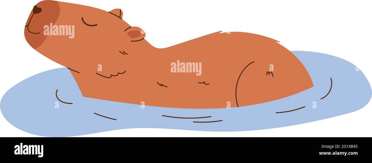 Cute capybara. Exotic rodent swimming in pond. Hand drawn vector ...