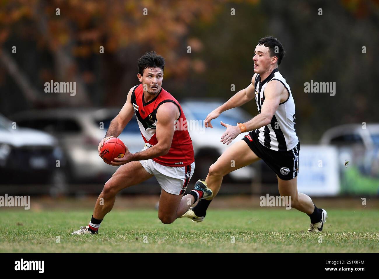 Australia vs welsh hi-res stock photography and images - Alamy