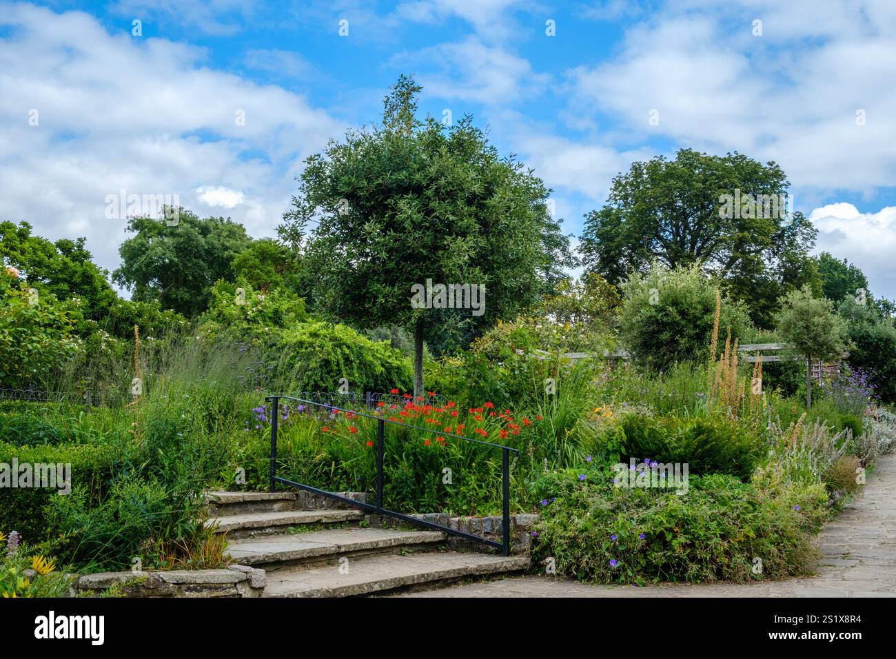 Lush garden pathway with concrete steps, green foliage and red & purple ...