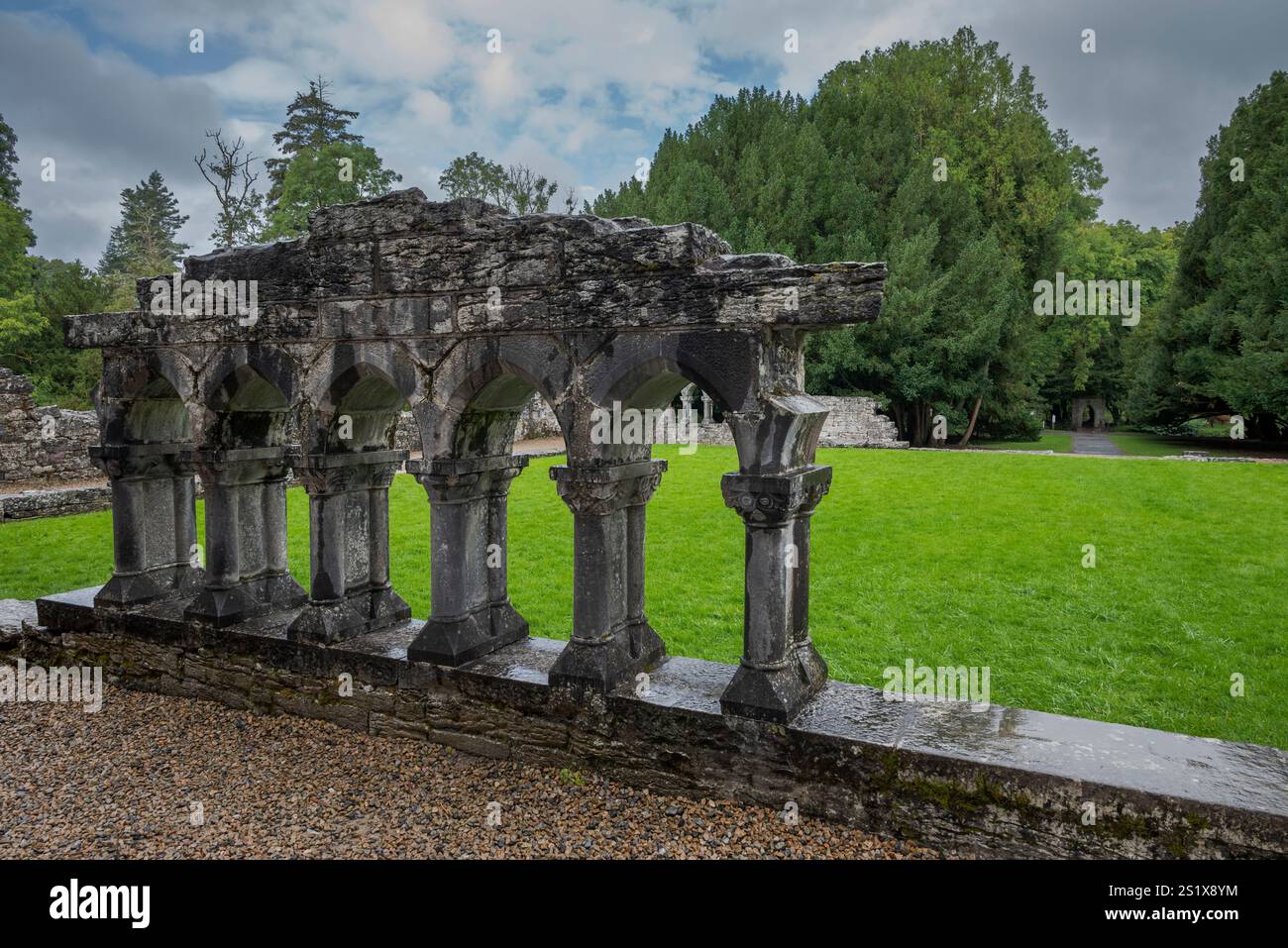 Weathered stone arches of Cong Abbey, Ireland, surrounded by a lush ...