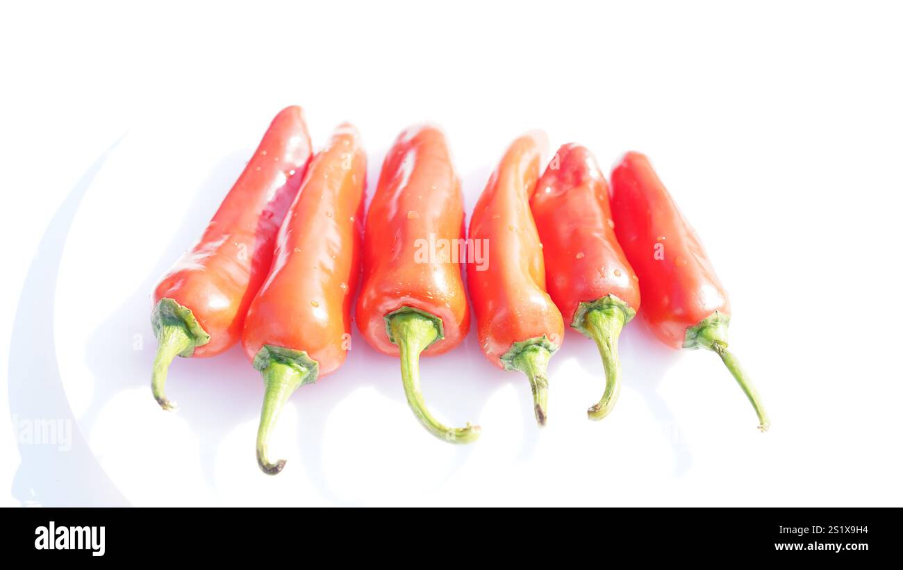 Chili pepper isolated. Chilli top view on white background. Whole and ...