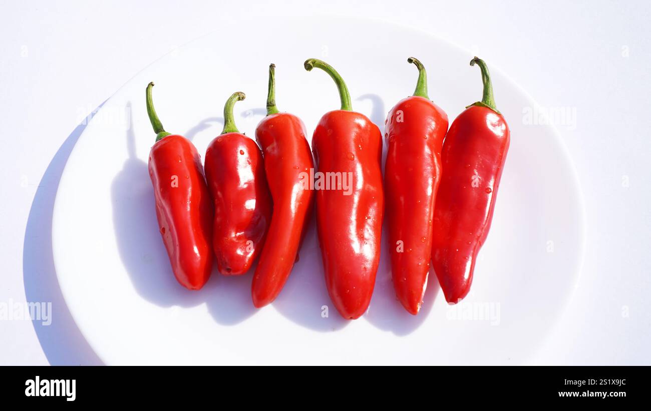 Chili pepper isolated. Chilli top view on white background. Whole and ...