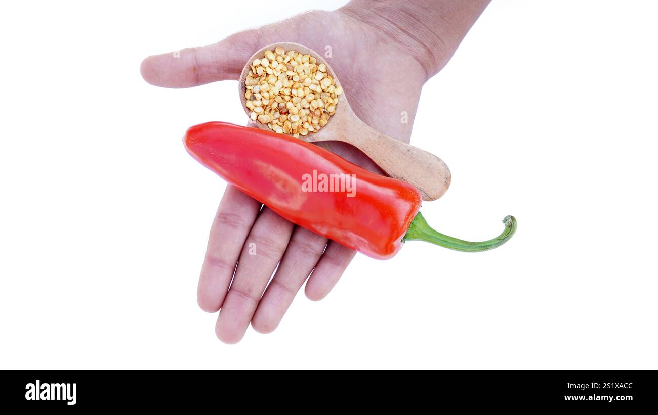 Chili pepper isolated. Chilli top view on white background. Whole and ...