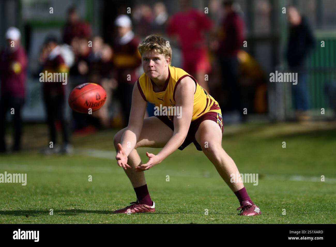 ECHUCA, AUSTRALIA 15 Jun 2024. Australian Rules Football, Goulburn ...