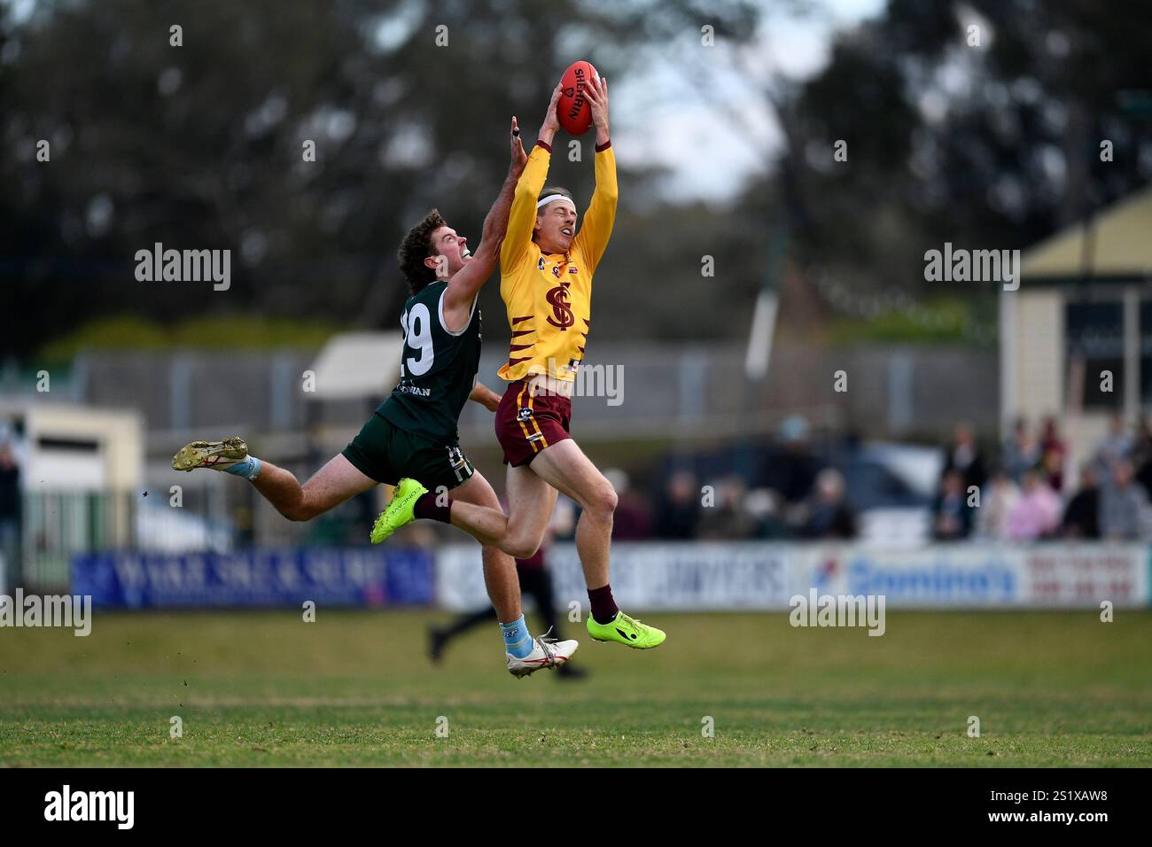 Shepparton bears hi-res stock photography and images - Alamy