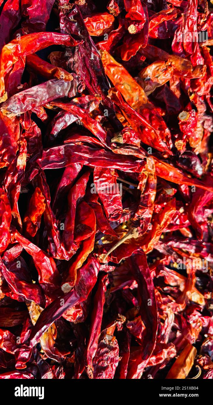 Chili pepper isolated. Chilli top view on white background. Whole and ...