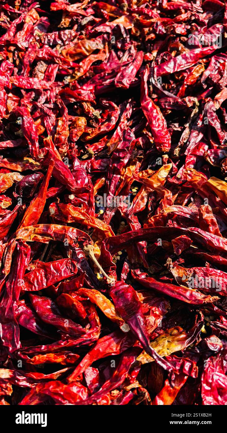 Chili pepper isolated. Chilli top view on white background. Whole and ...