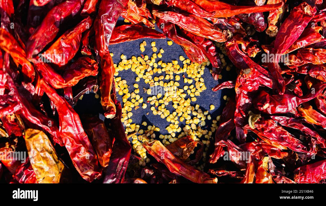 Chili pepper isolated. Chilli top view on white background. Whole and ...