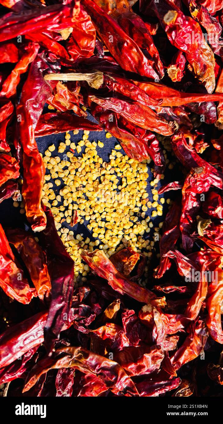 Chili pepper isolated. Chilli top view on white background. Whole and ...