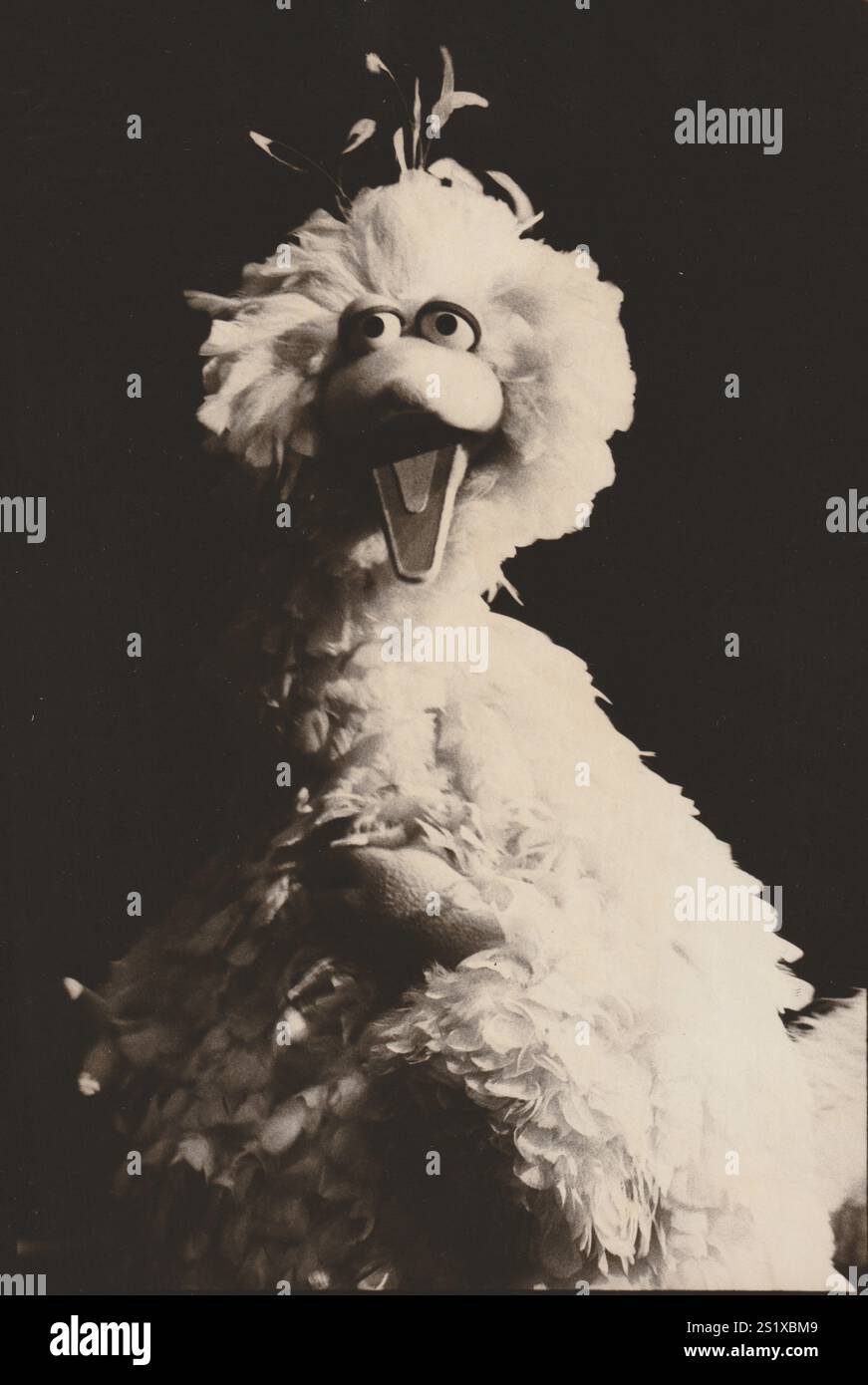 Sesame Street Big Bird 1979 JIM HENSON Stock Photo - Alamy