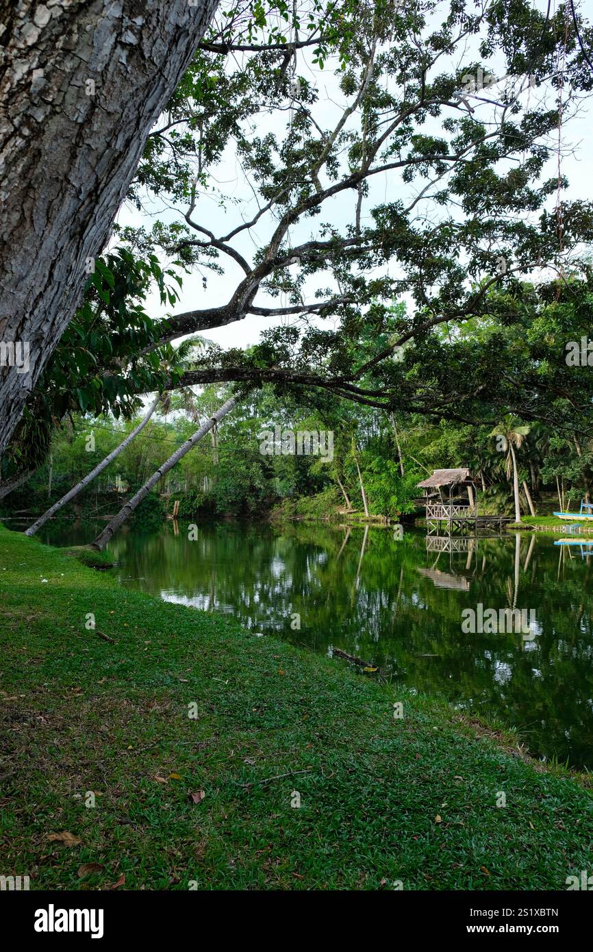 Beautiful landscape view of Alam Mayang Park in the afternoon ...