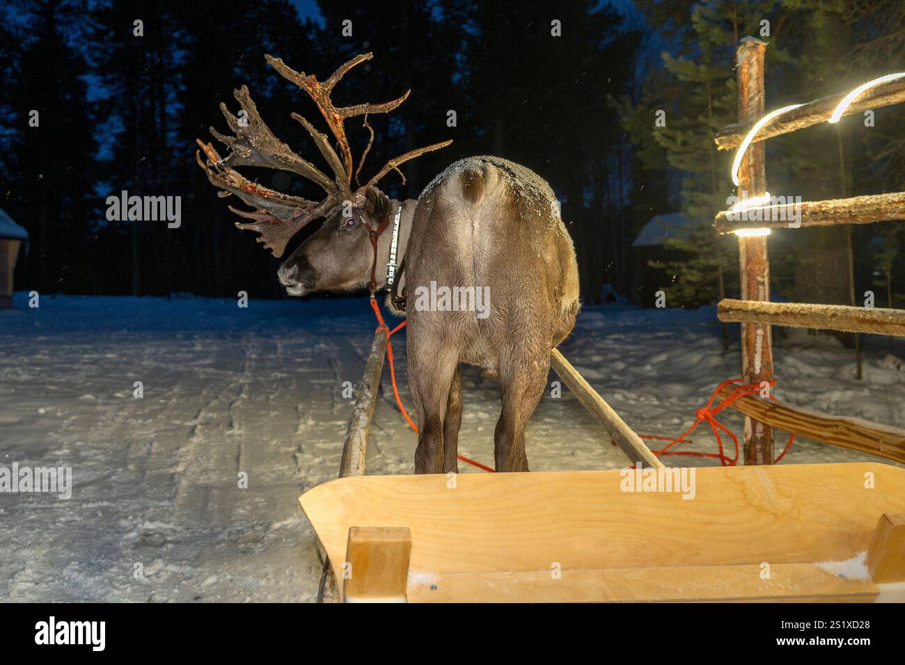 Sami farm hi-res stock photography and images - Alamy