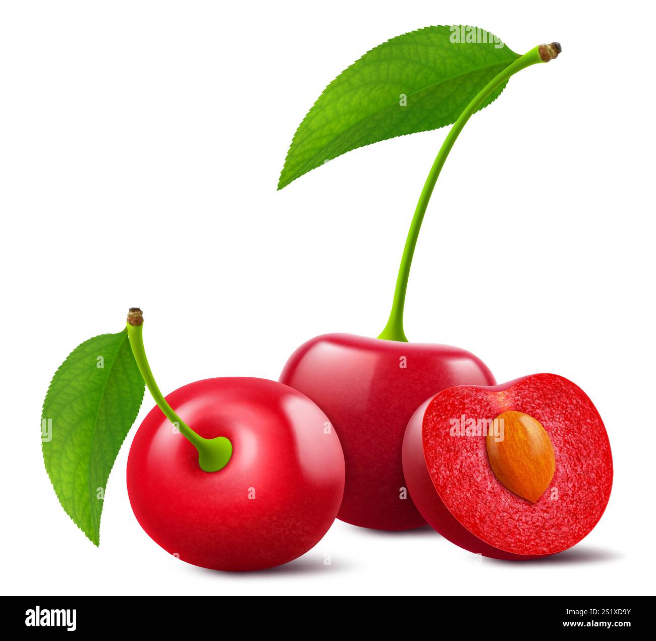 Ripe cherries with leaves isolated on a white background. Whole red ...