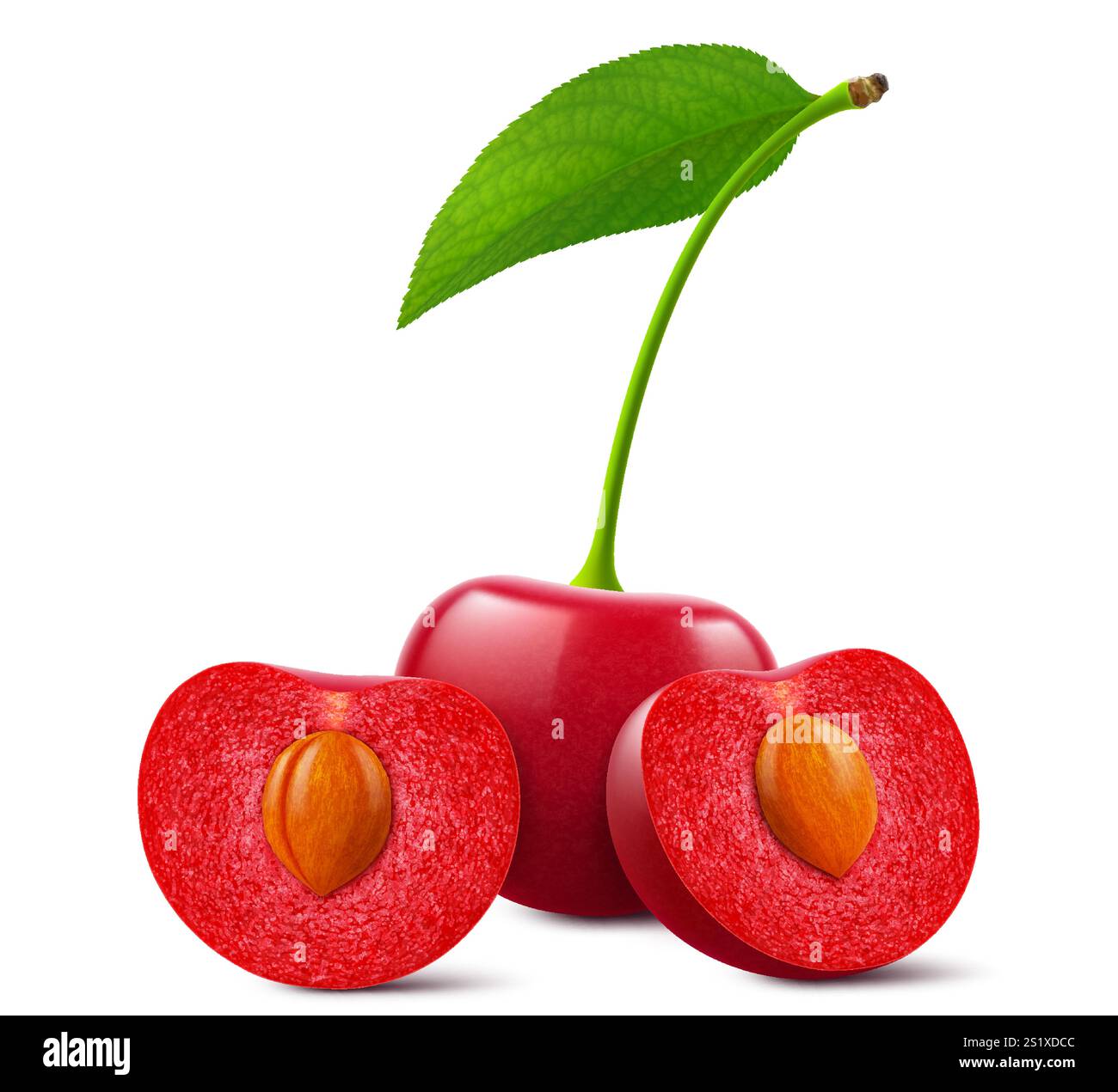 Ripe cherries with leaves isolated on a white background. Whole red ...