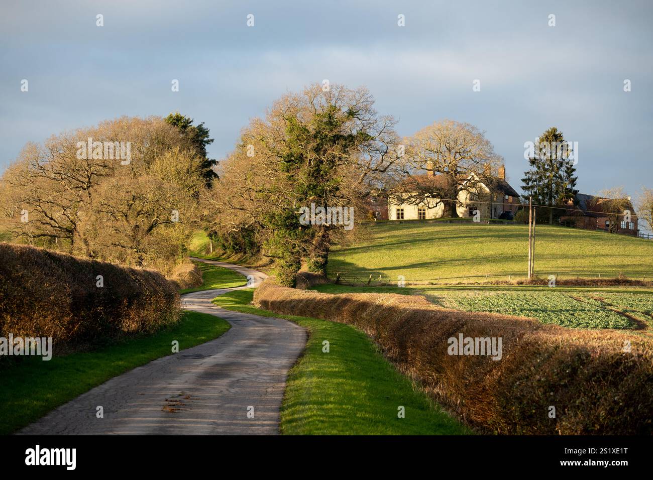 A winding country lane in winter, Warwickshire, England, UK Stock Photo ...