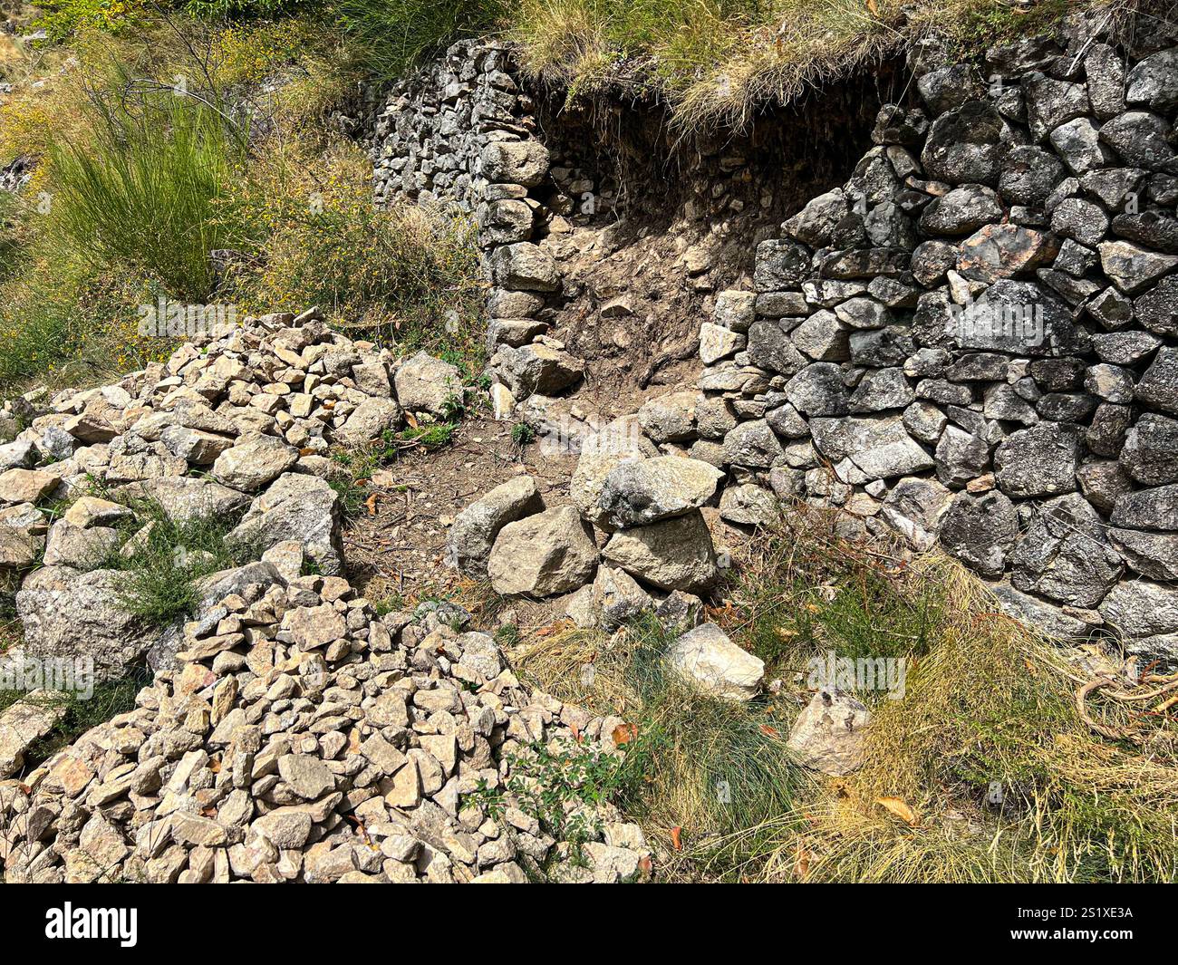 Crumbling stone wall slowly being reclaimed by nature in a sunny valley ...
