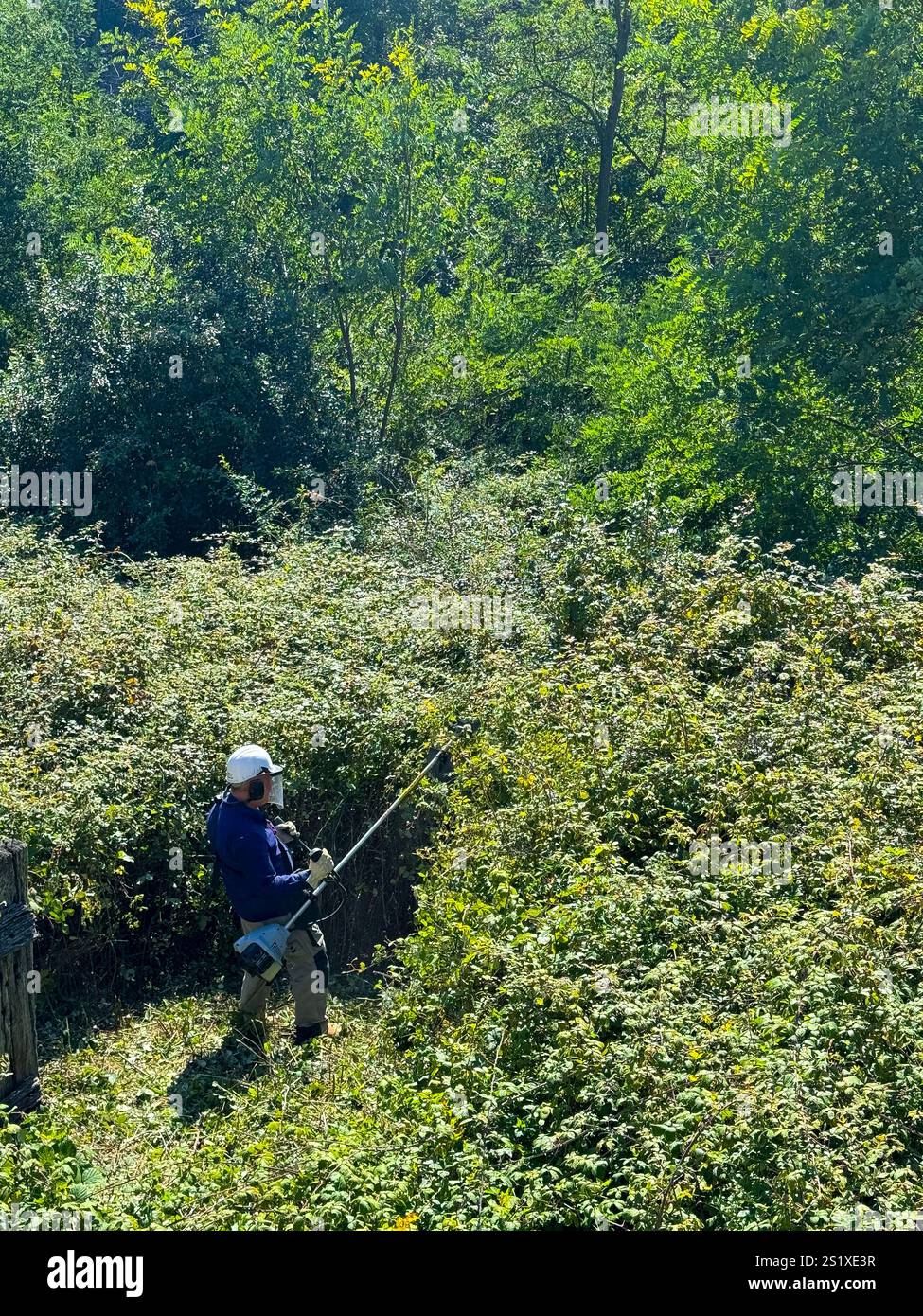 Gardener using brushcutter cutting hi-res stock photography and images ...