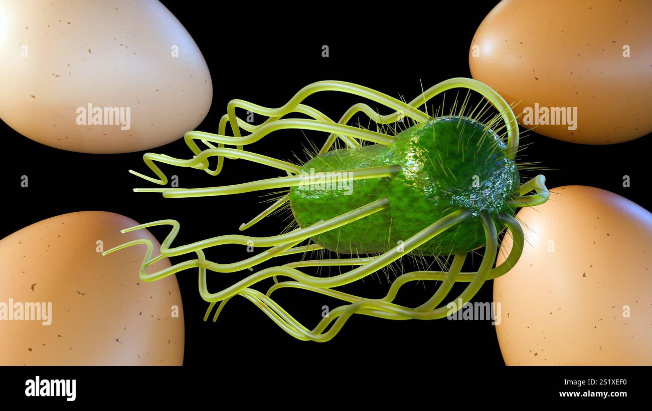 Eggs can sometimes be contaminated with Salmonella bacteria, which can ...