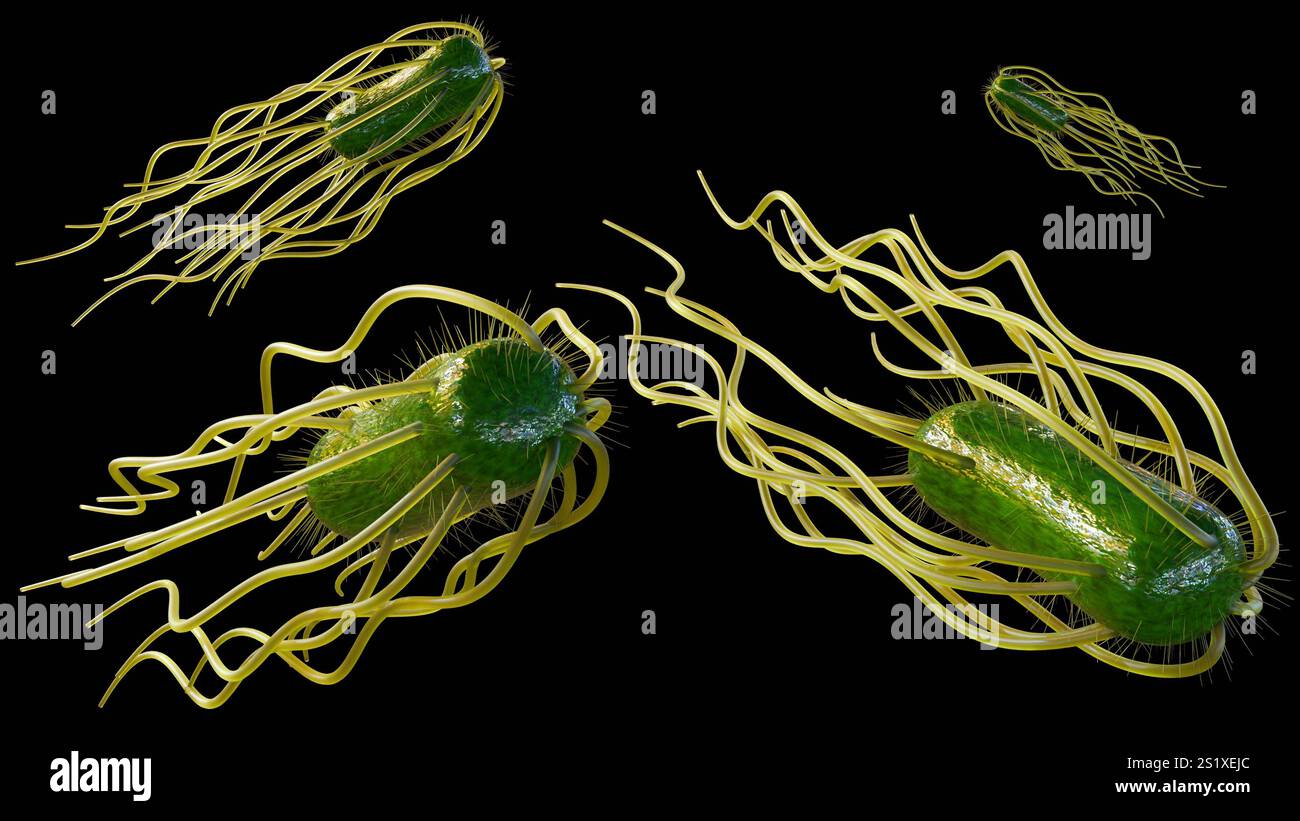 3d rendering of Salmonella are rod-shaped bacteria. they can move using ...