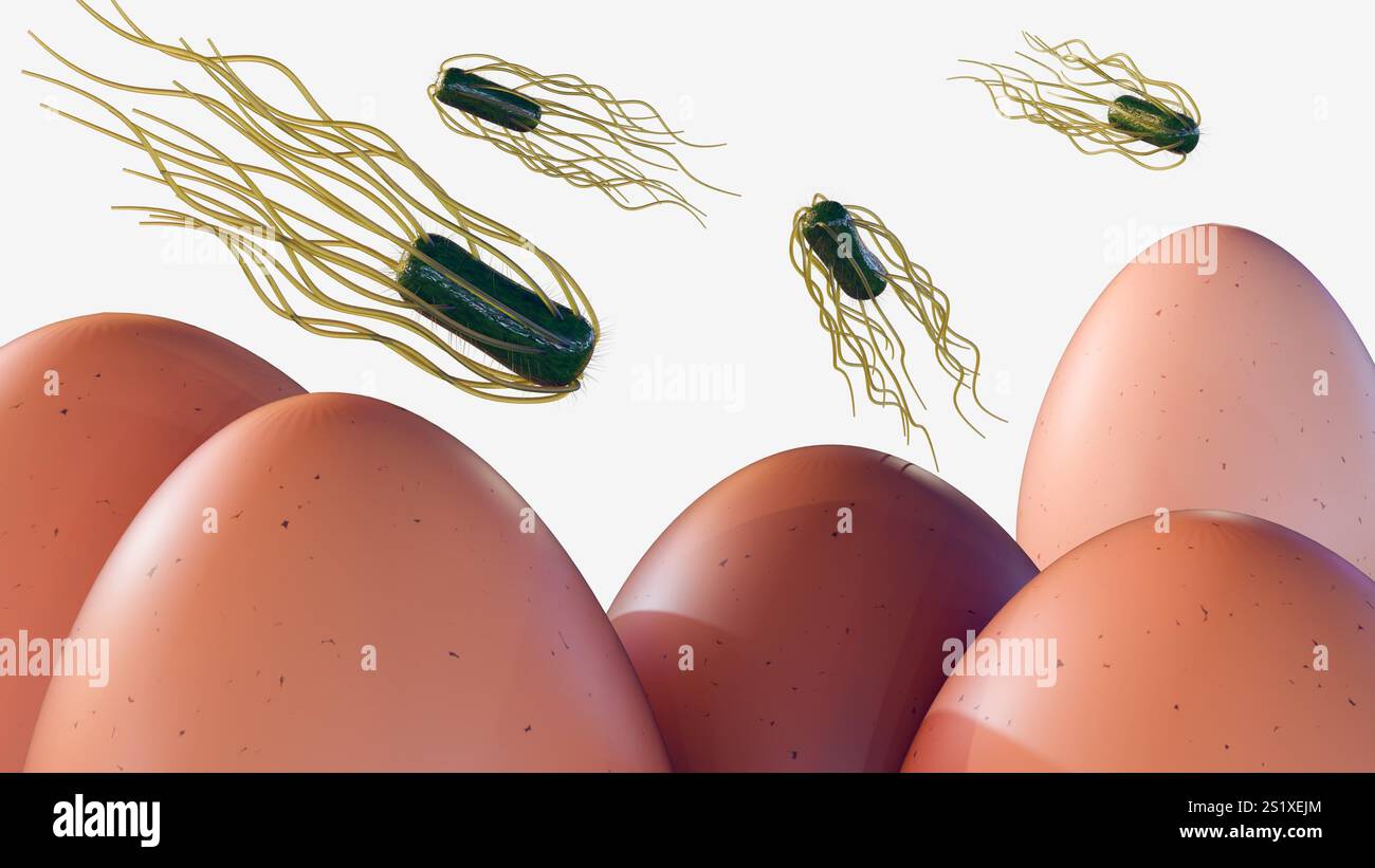 Eggs can sometimes be contaminated with Salmonella bacteria, which can ...