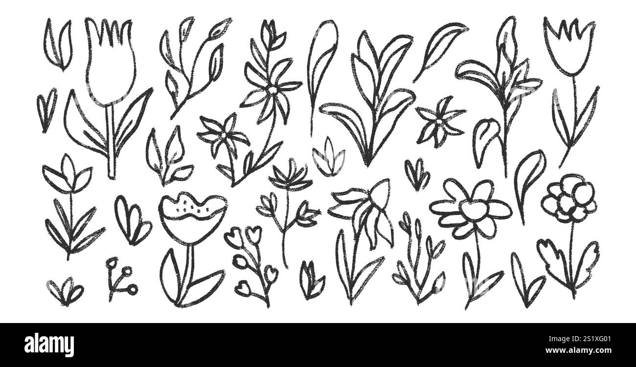 Hand drawn line stroke flowers and leaves set. Charcoal line poppy ...