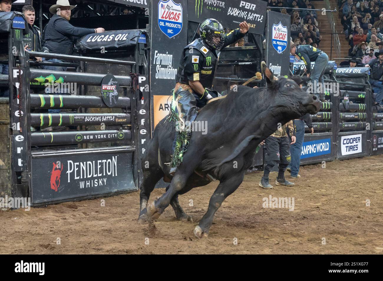 New York, New York, USA. 4th Jan, 2025. (new) 2025 professional bull ...