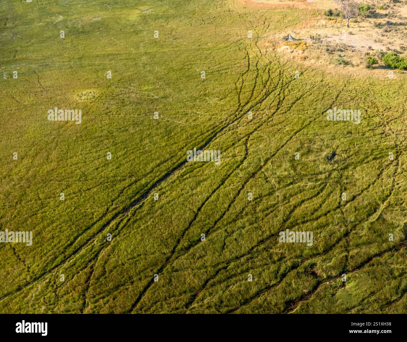 Landscape in Botswana. Flight from Maun to the Okavango Delta by ...