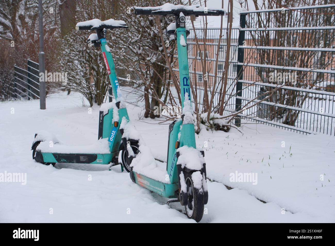 Stilvolle Roller Fur Schnee Bilder