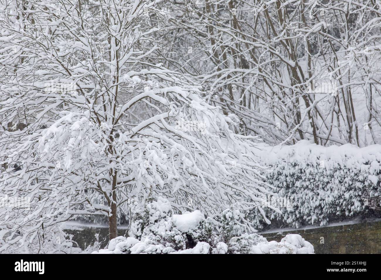 West Yorkshire, UK. 5th Jan, 2025. UK Weather. Heavy overnight snow in ...
