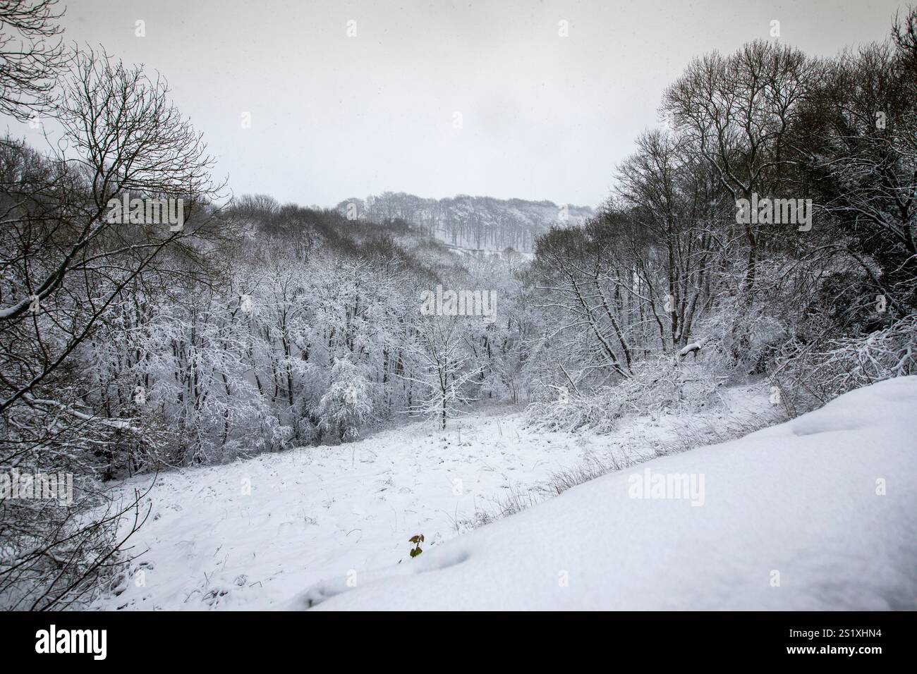 West Yorkshire, UK. 5th Jan, 2025. UK Weather. Heavy overnight snow in ...