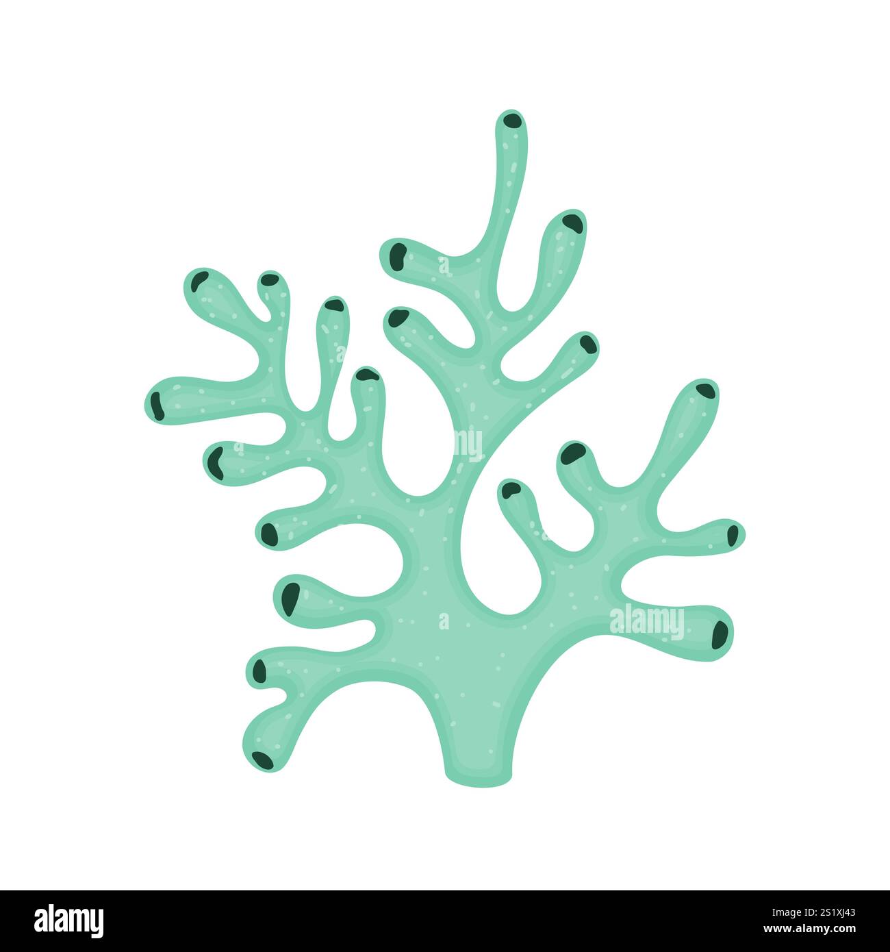 Coral reef branch. Fauna of sea underwater sponges. A marine turquoise ...