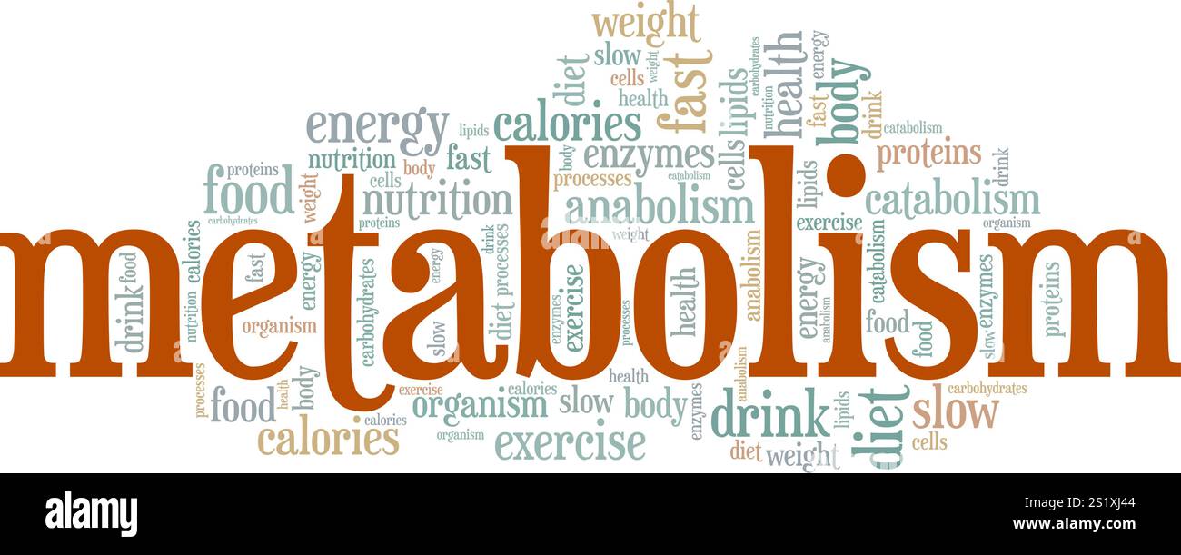Metabolism word cloud conceptual design isolated on white background ...